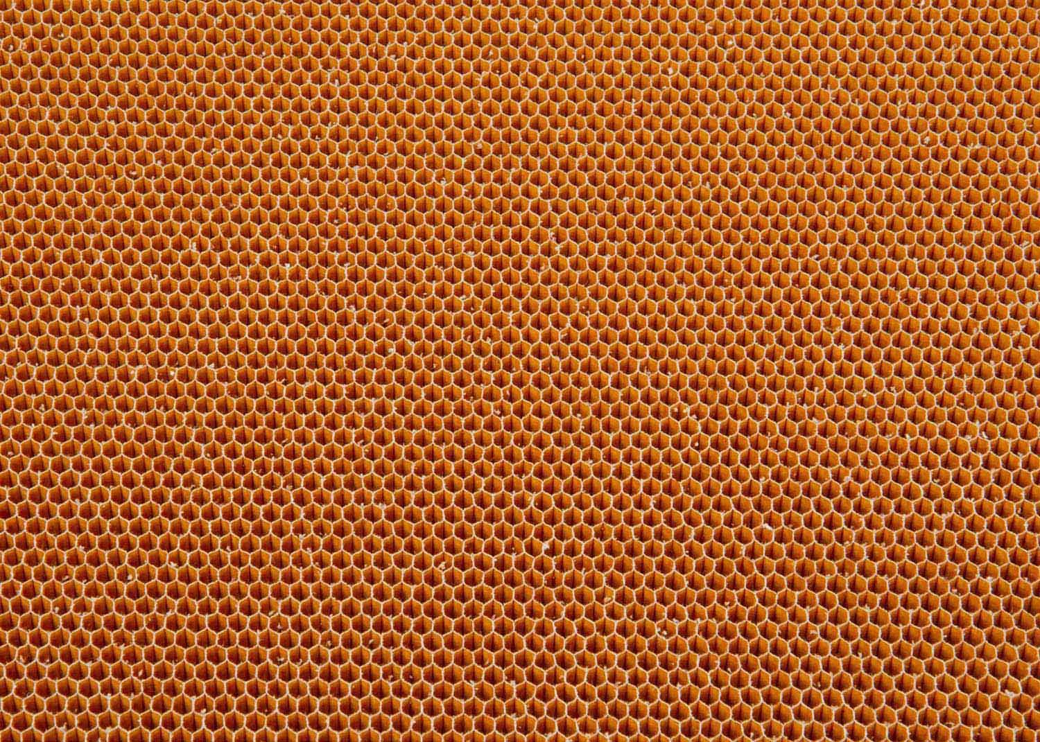 Radiator Honeycomb 19" x 26"